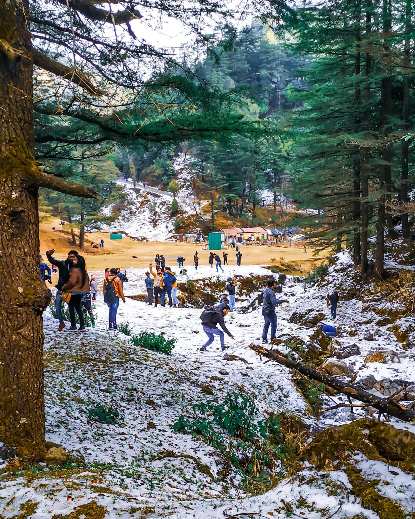 Best Time to Visit Mussoorie for Snowfall - Travel Beloved